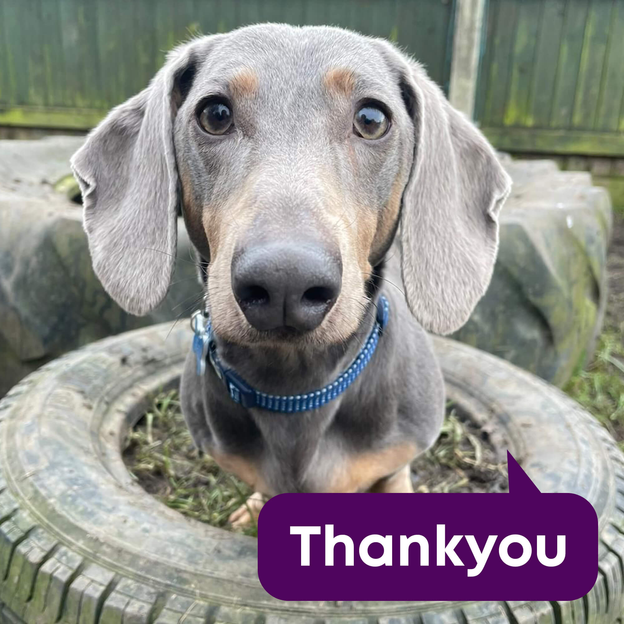 Teckels Partnership - Dupree & Co - Super Friendly, Mortgage and ...